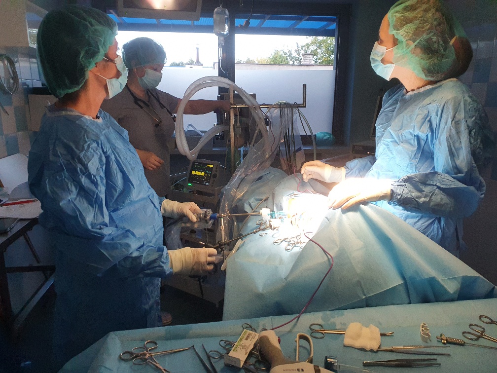 Laparoskopia - Skuteczne rozwiązania w medycynie i rehabilitacji ...